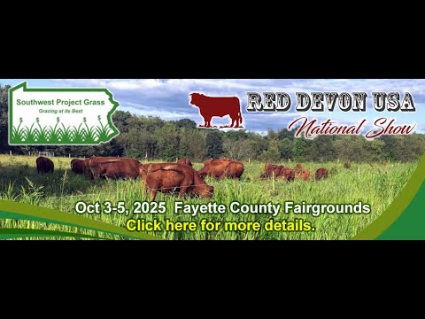 The Devon Corner: Cattle Man & Judge Steve Campbell