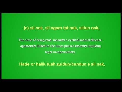 Lunacy meaning in English Ngawn