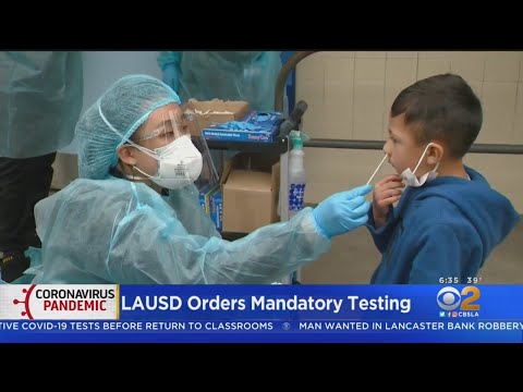 LAUSD Students Required To Test Negative Before Returning To Campus