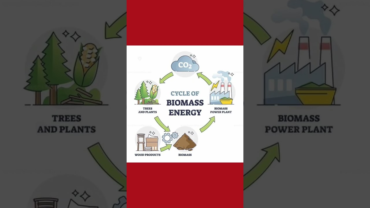 Cycle of Biomass Energy