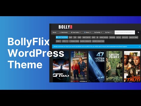 Bollyflix WordPress Theme