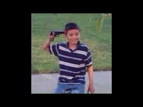 Meme Photo Compilation