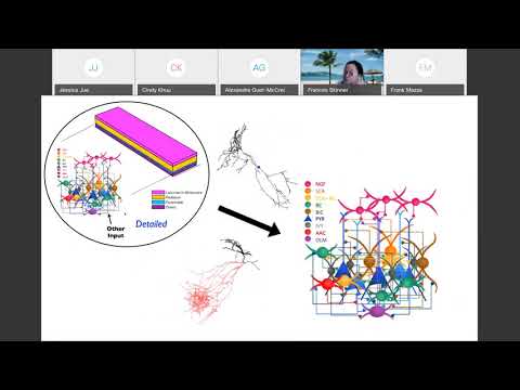 Krembil Centre for Neuroinformatics Speaker Series: Dr. Frances Skinner, December 2020