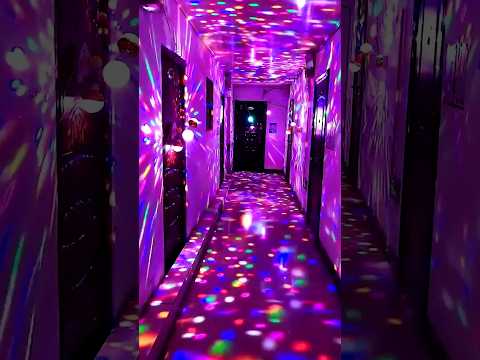 Portable Disco Light For Home Party 😲 #shorts #viral #trends