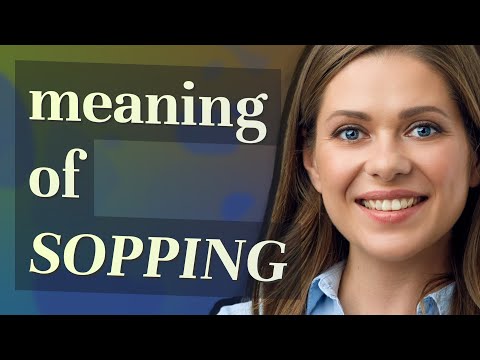 Sopping | meaning of Sopping