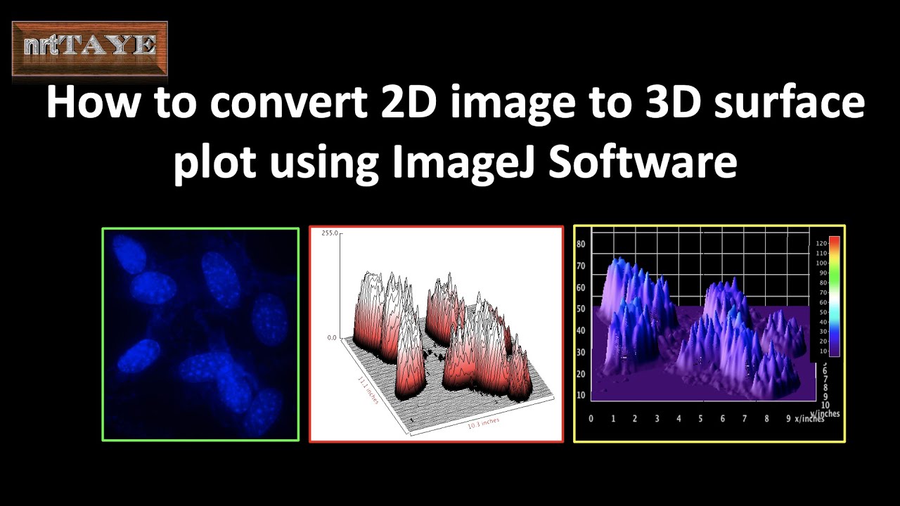 Convert 2D image to 3D surface plot using ImageJ Software