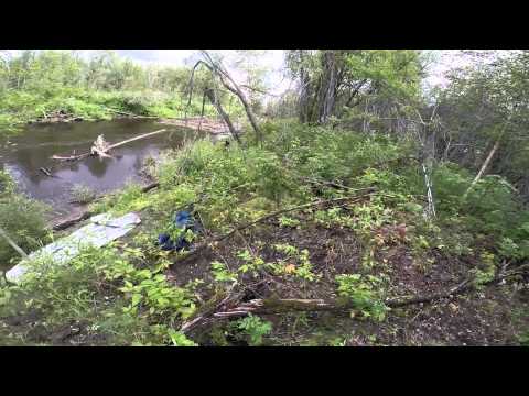 Alaska Pike Fishing
