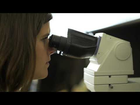 Cytotechnology Program at Central Piedmont (:15)