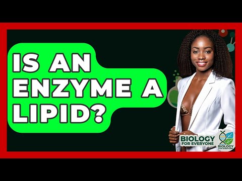 Is An Enzyme A Lipid? - Biology For Everyone