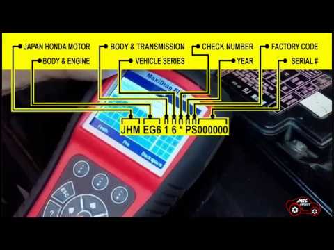 Vehicle Import and Car Importing FAQ: HS7 Form : Importation of Motor ...