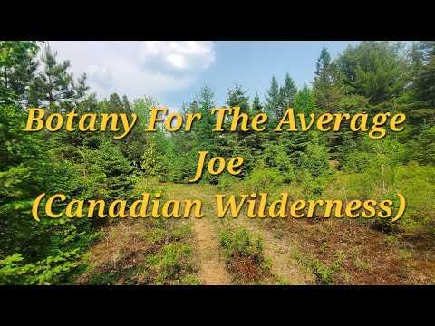 Overnight Camp With Doggy In Wildlife Reserve(Botany, Geology, bushcraft)...Part 2.