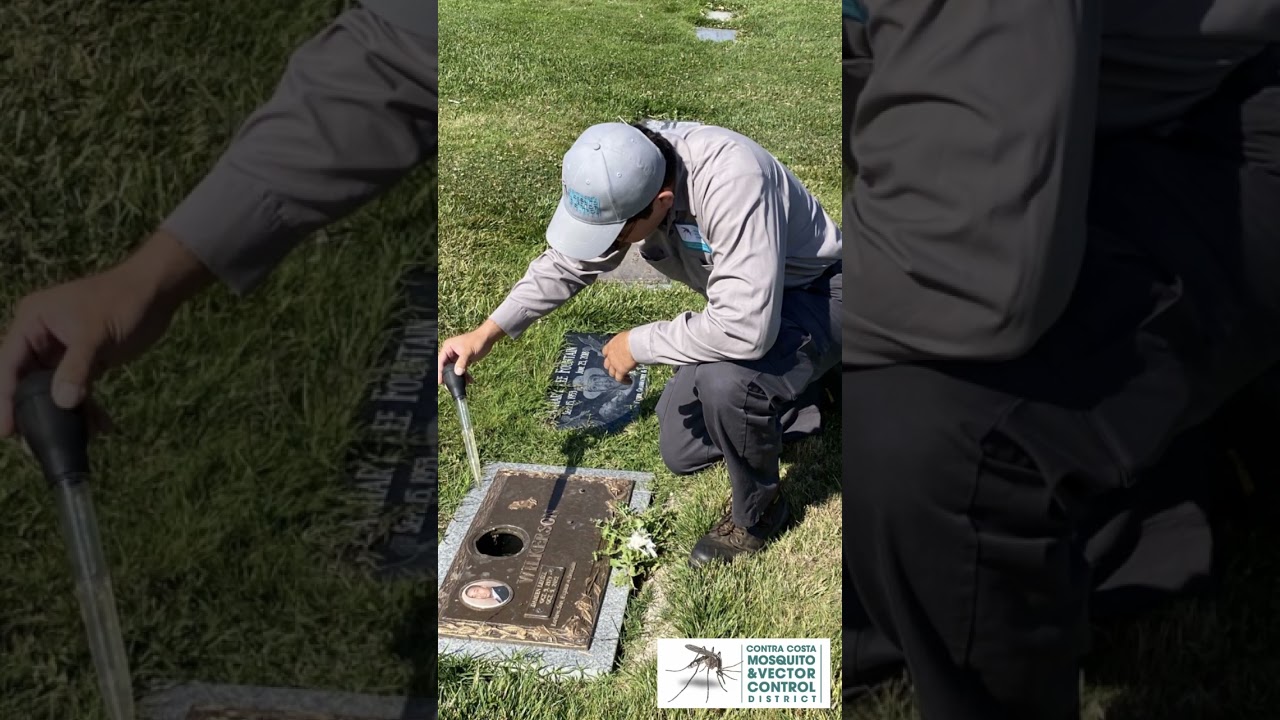 August 20th, 2025 is World Mosquito Day