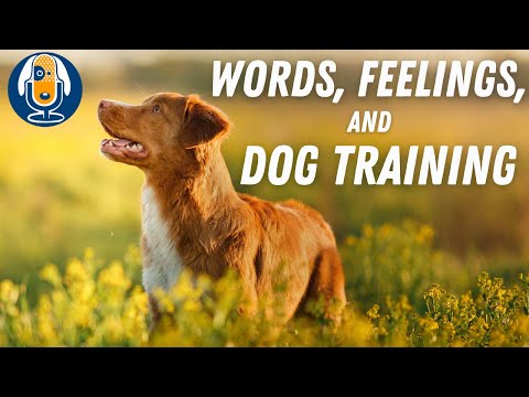 The Woo Side Of Dog Training: Power of Words #124