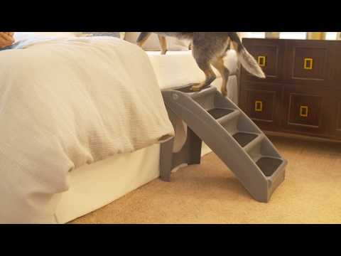 Premier Pet Plastic Steps Quick Overview
