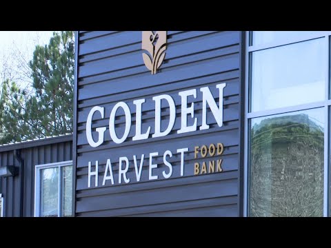 ‘Hands and hearts’: Golden Harvest needs your help in its fight against hunger