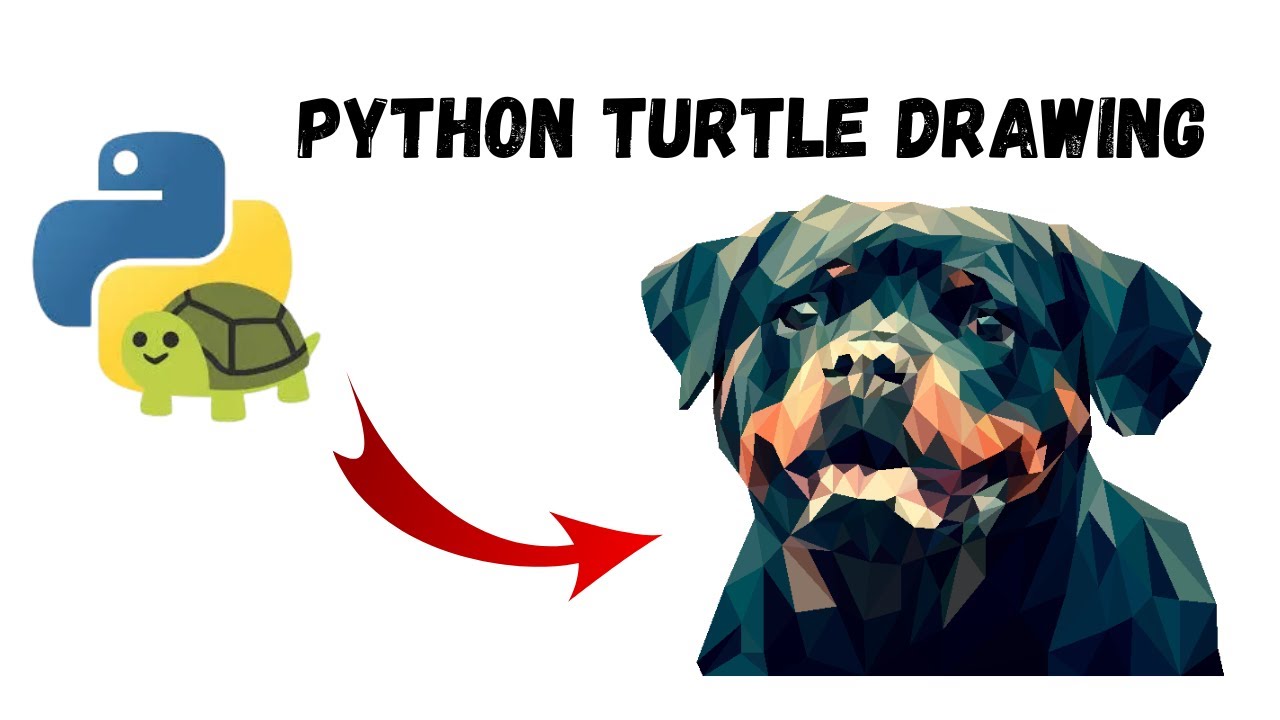 Amazing Python Turtle Dog Drawing