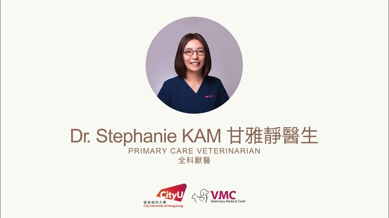 Dr. Stephanie Kam, Primary Care Veterinarian at CityU VMC