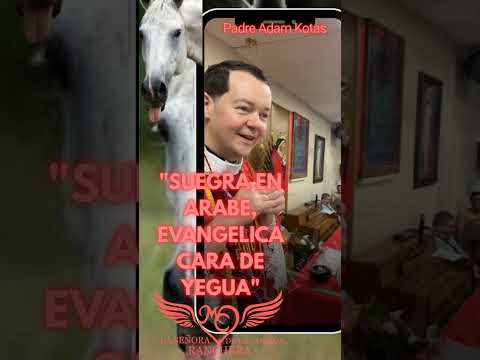 Padre Adam Kotas "SUEGRA EN ARABE, EVANGELUCA CARA DE YEGUA" #risoterapia #viral