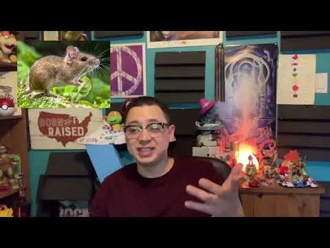 Field Mouse | Possible Spiritual Meaning of Seeing One | Spirit Animals | A Friday Podcast Clip