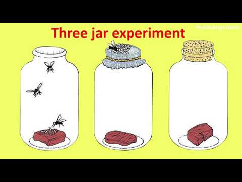 #Micro30 Francesco Redi - Three Jar Experiment - disproving spontaneous generation theory #shorts