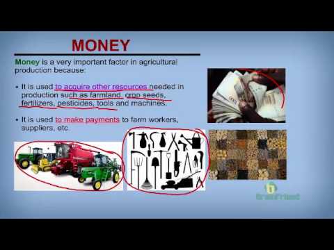 Factors of Agricultural Production