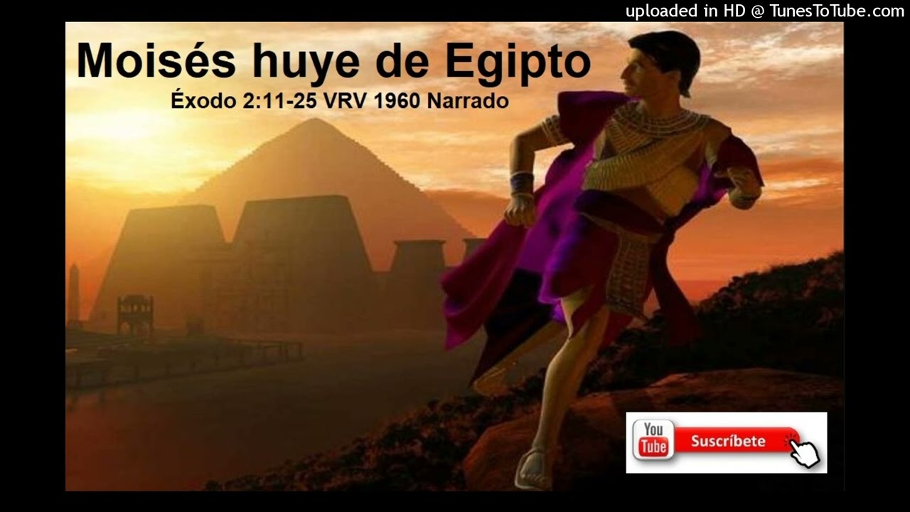 Éxodo 2:11-25 - Moisés huye de Egipto | Éxodo VRV 1960 Narrado