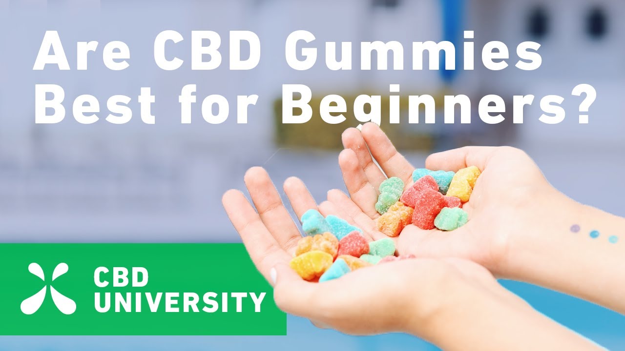 CBD University: Are CBD Gummies Best For Beginners?