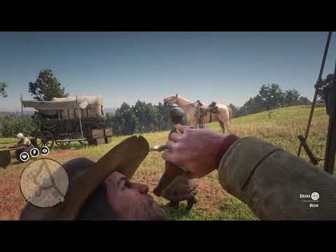 Steam Community :: Video :: RDR2 Free Beer/Whiskey Crate Locations