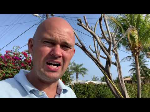 There are both root times and fruit times - don’t give up. Greeting from Torben Sondergaard