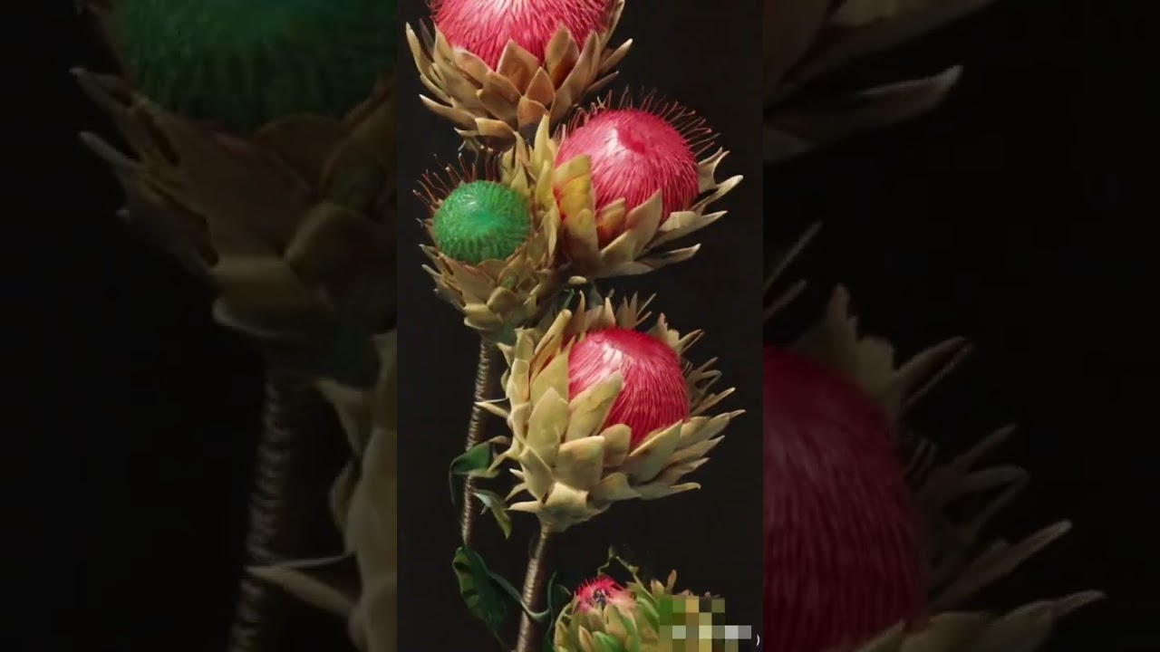 Flower Transformation #ai #coding #chatgpt #animation