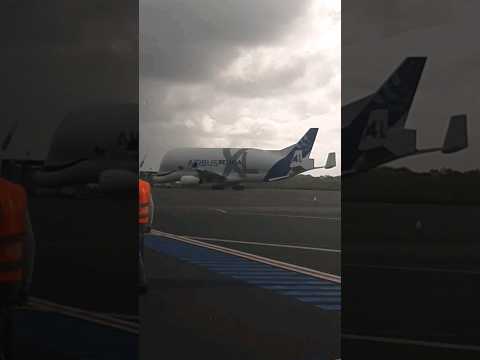 Beluga XL at Nantes #airport #pilot #plane #airplane #aviation #planespotting #aircraft #airbus