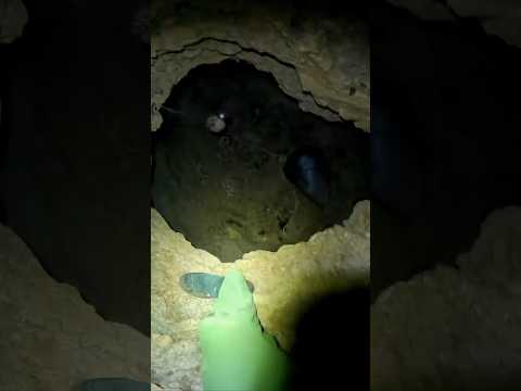Guna cave🤯😱real guna cave😱 #Manjummel Boys#shorts#viral