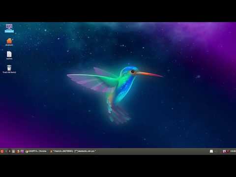 How to install XAMPP on Lubuntu 19.04 and Fix NetStat command not found error