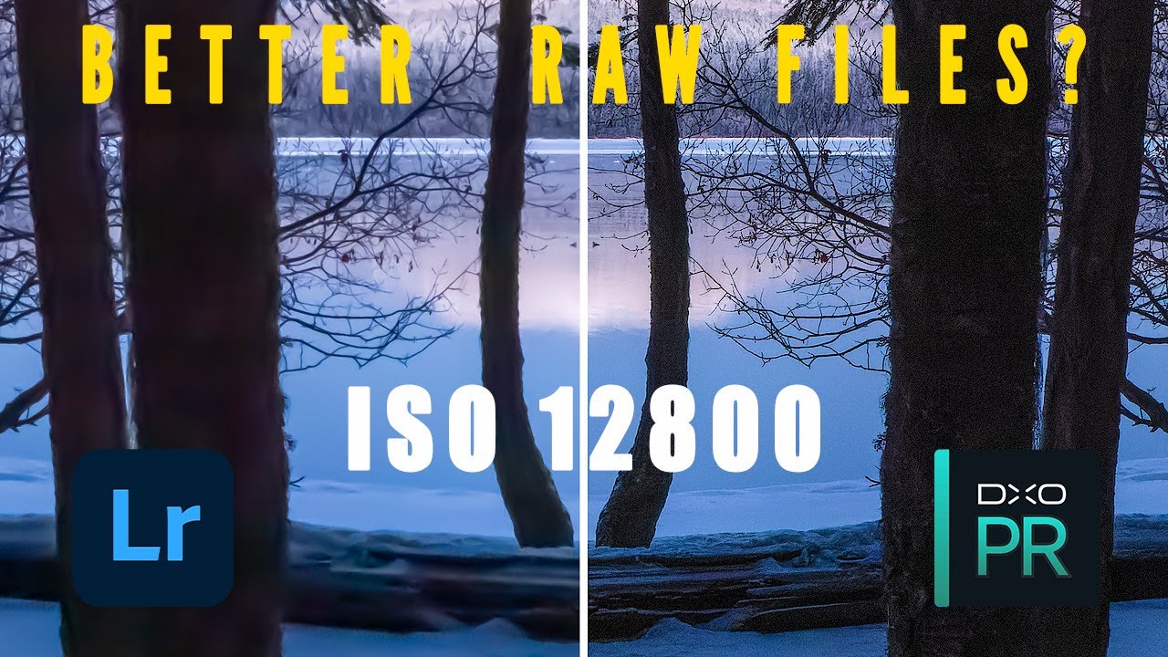 Create Better RAW Files? Testing DxO PureRAW