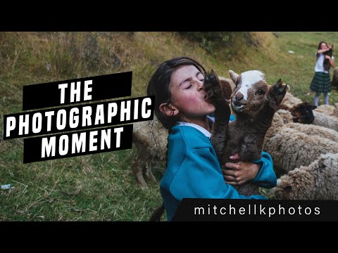 From Candid to Perfect: The Art of Capturing the Moment in Photography