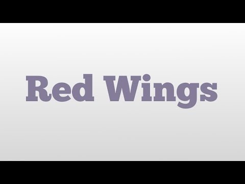 Red Wings meaning and pronunciation