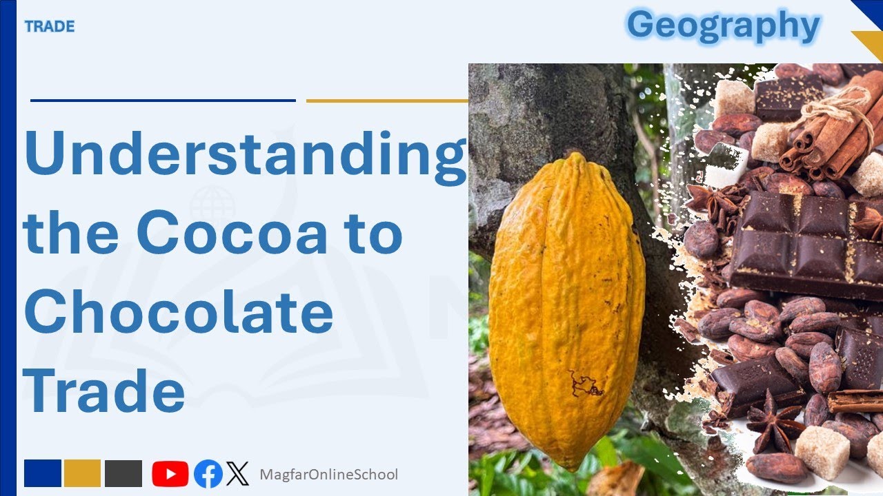 Understanding the Cocoa to Chocolate Trade | Grade 6 Term 2 Geography