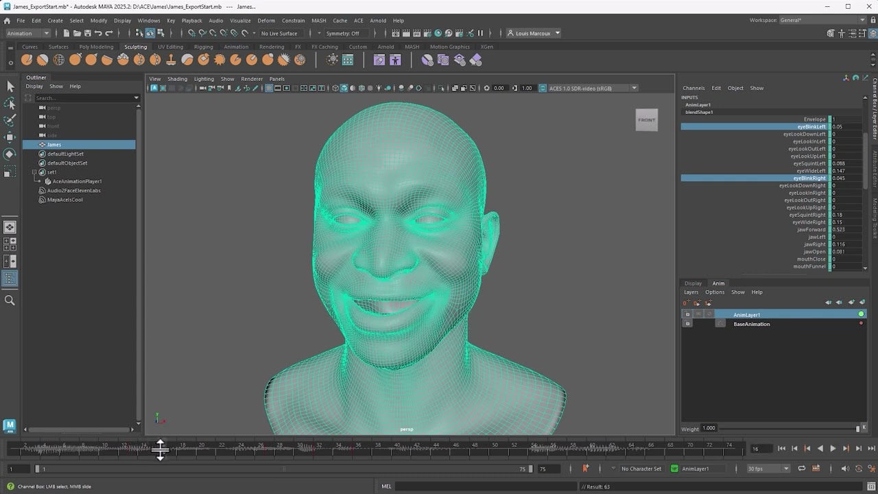 Animating with Autodesk Maya and NVIDIA ACE