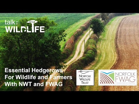 talk: Essential Hedgerows for Wildlife and Farmers with NWT and FWAG