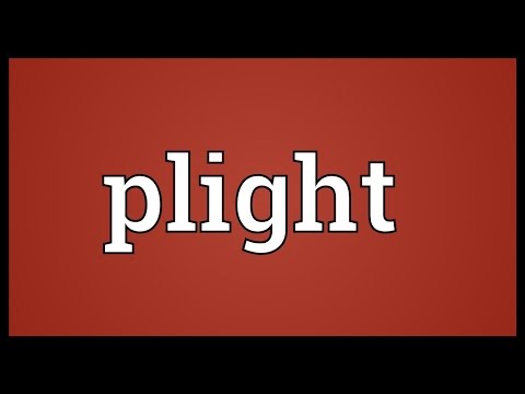 Plight Meaning