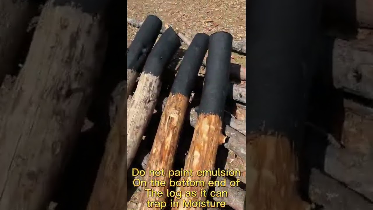 5 steps to prep a log for fence/gate posts!