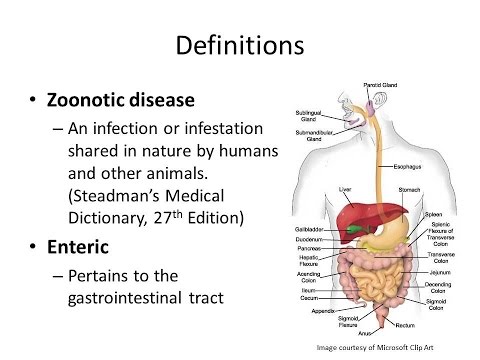 7.1 – Common Enteric Zoonotic Diseases: Definitions