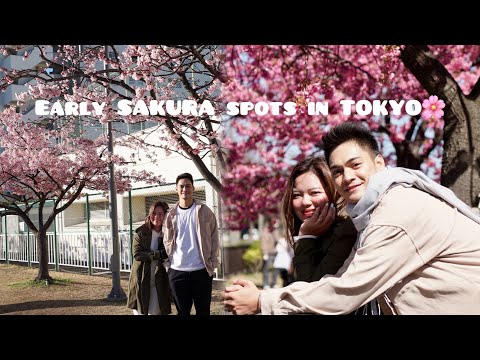 JAPAN TRAVEL GUIDE 2024: Early March Sakura Spot in Tokyo & Exploring Yokohama
