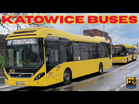 Piękne żółte KATOWICE 🇵🇱 AUTOBUSY - 4K