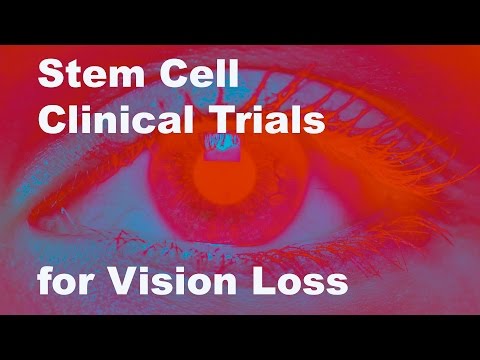 Eyeing Stem Cell Therapies for Vision Loss | The Stem Cellar