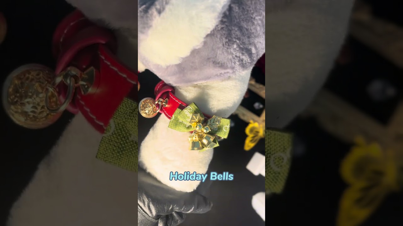 Best BDSM Christmas Gift in 2024