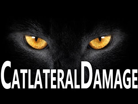Steam Community :: Video :: Catlateral Damage - One Shot