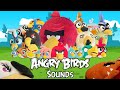Angry Birds Sounds Watch HD Mp4 Video Download Free