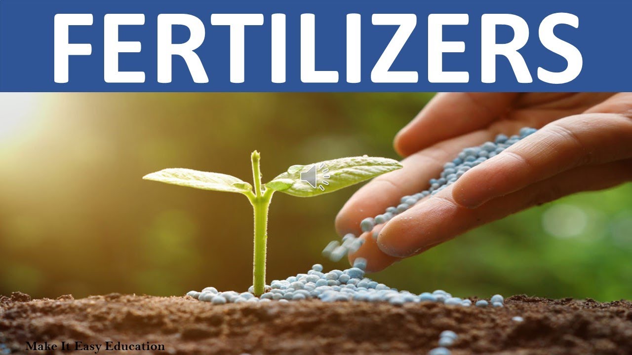 FERTILIZERS || ORGANIC AND INORGANIC FERTILIZERS || SCIENCE VIDEO FOR KIDS