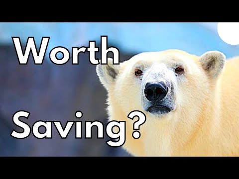 Why Save Endangered Species? (2024)